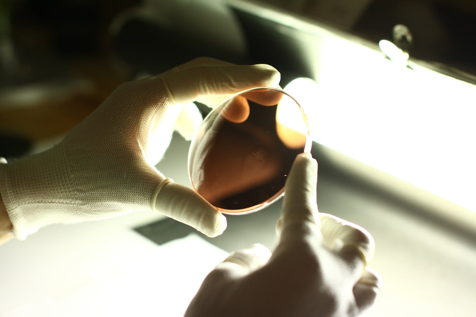 Products – TALEX Performance