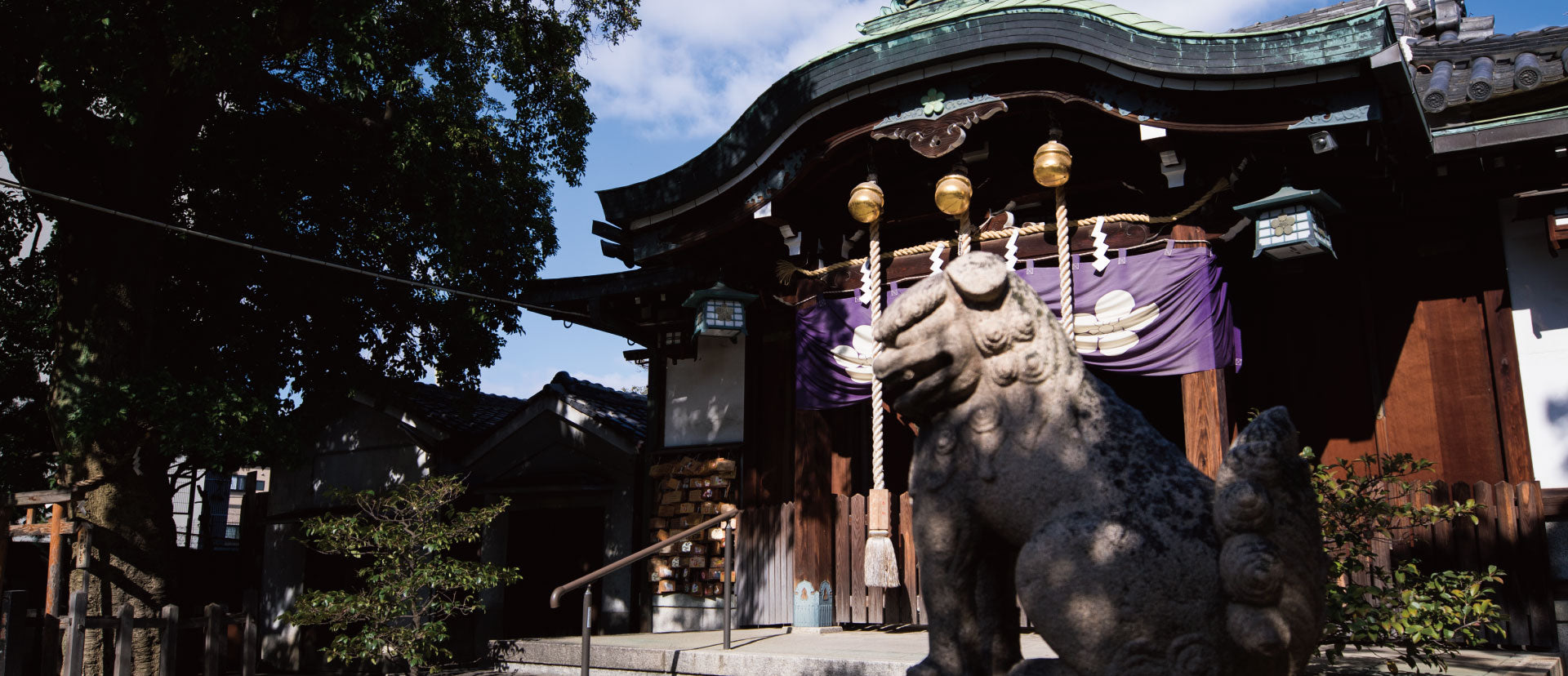 Products – TALEX Performance