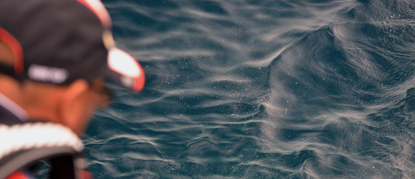 Products – TALEX Performance